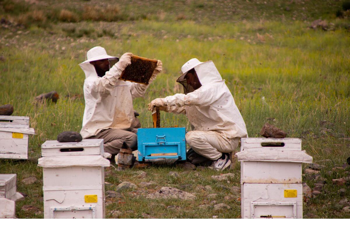 O Nama - Med i Bilje